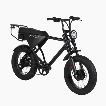 Dual Motor Electric Bike: The All Wheel Drive [S]| Pedal Electric